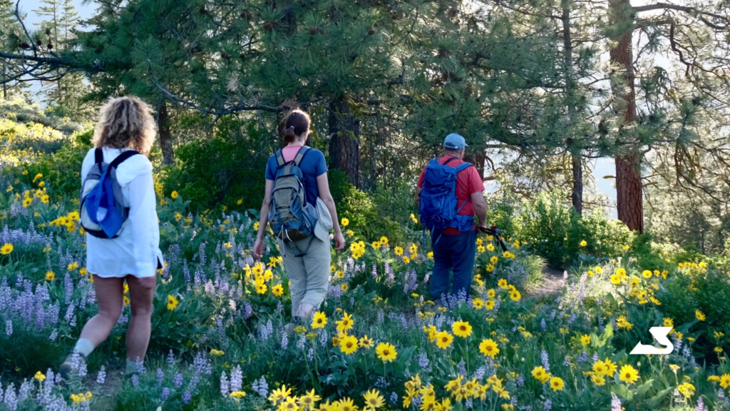 Want to walk more this spring but foot pain is stopping you? Learn how ...